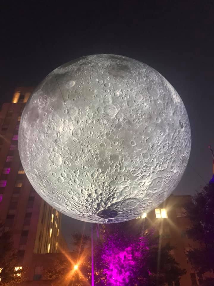 Bull Moon rising｜テキスタイル・ツリー