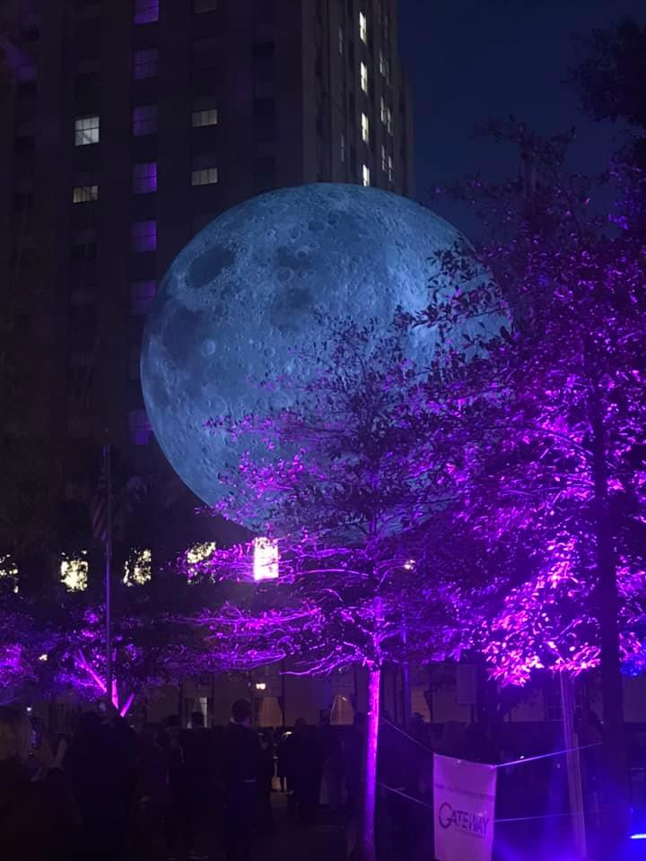 Bull Moon rising｜テキスタイル・ツリー