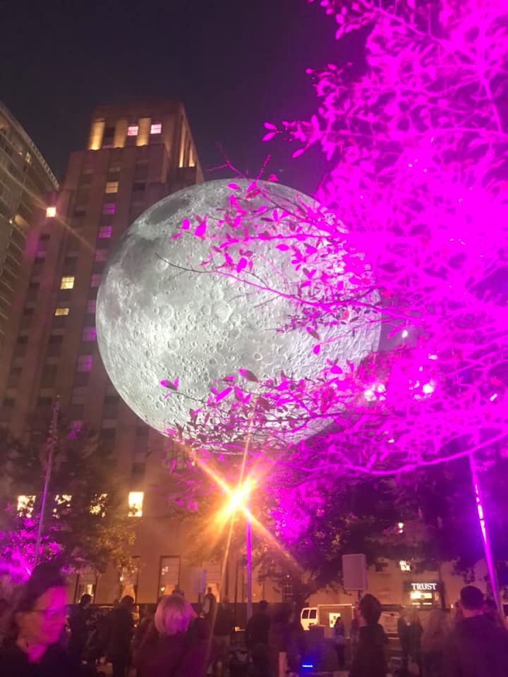 Bull Moon rising｜テキスタイル・ツリー