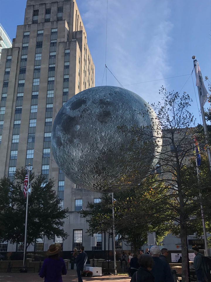 Bull Moon rising｜テキスタイル・ツリー